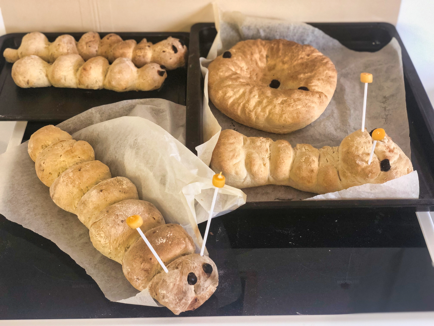 Mini Master Chef at the Manor - Forres Sandle Manor