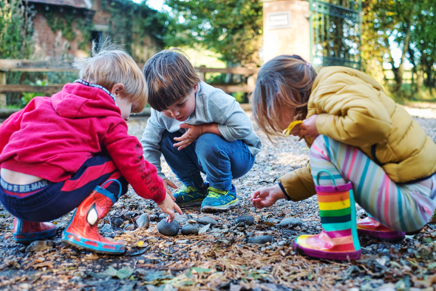 Autumn Walk in the New Forest for our Nursery Children - Forres Sandle ...