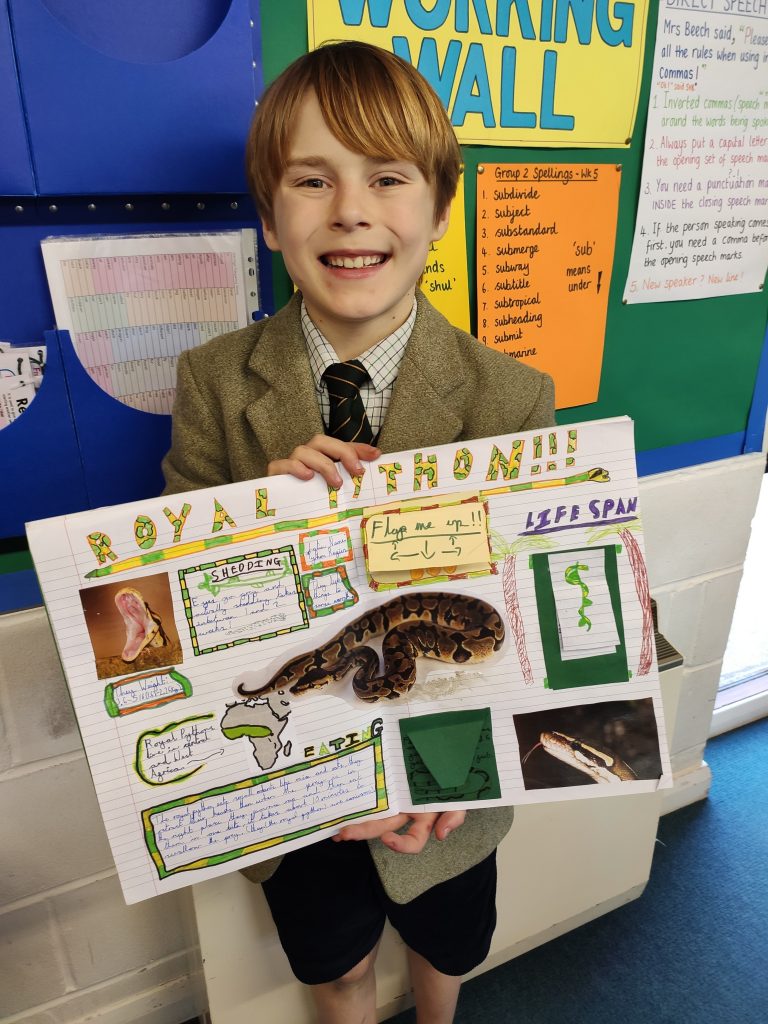 Year 5 Animal Fact Files - Forres Sandle Manor