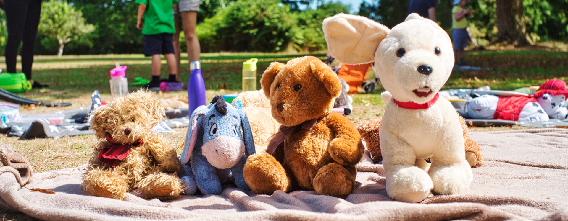 Fun at this Year's Teddy Bears' Picnic - Forres Sandle Manor