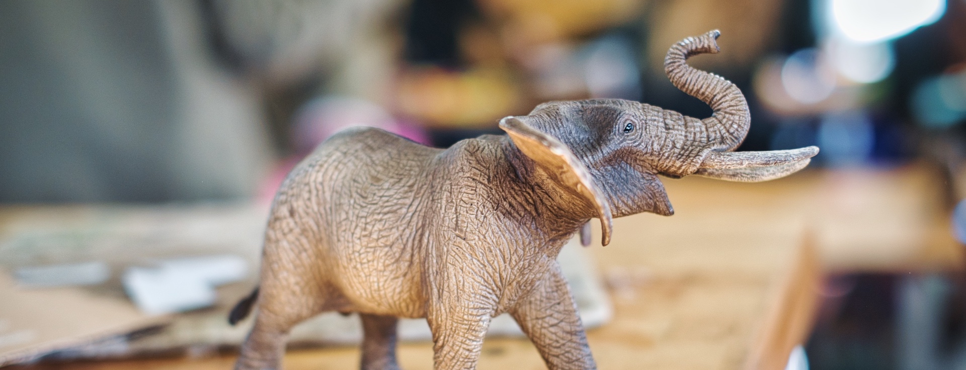 Wildlife Preservation - Enthralling David Shepherd Wildlife Foundation ...