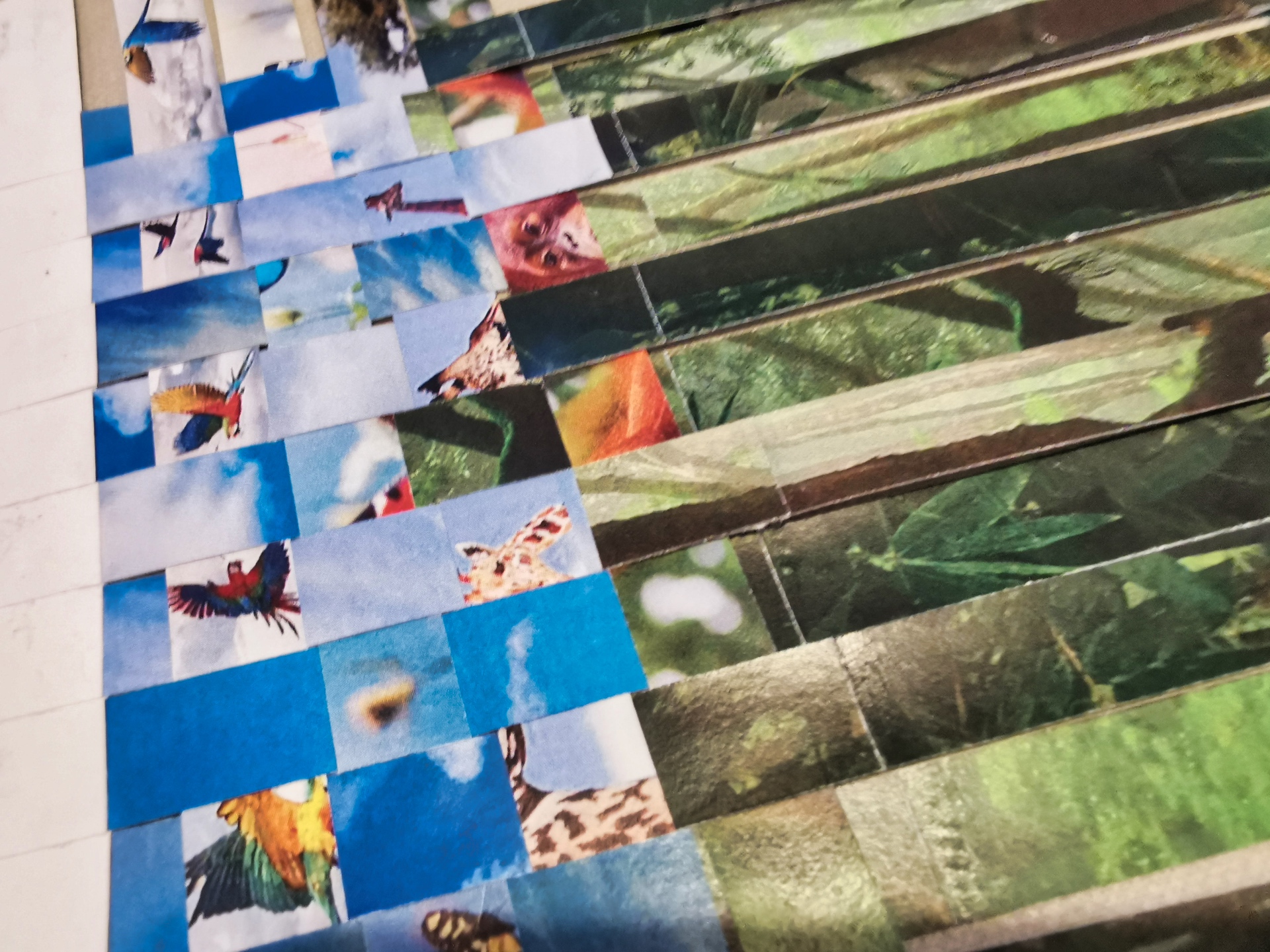 Year 2 Enter the Global Canvas Art Competition - Forres Sandle Manor