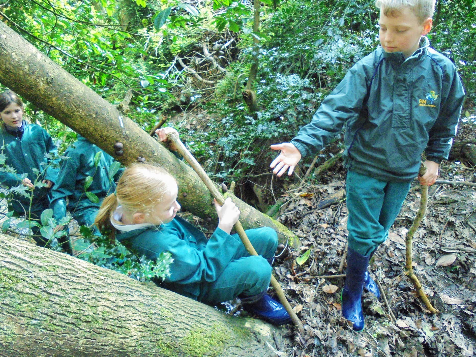 Forest Schoolers Have Fun on a River Walk - Forres Sandle Manor