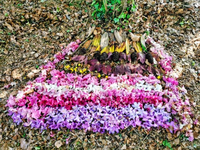 Celebrating the Work of Andy Goldsworthy on World Environment Day ...